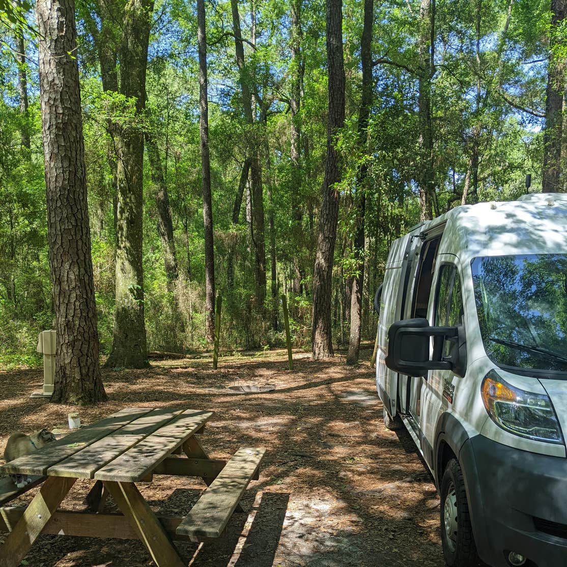 Suwannee River Rendezvous Resort and Campground | Mayo, Florida