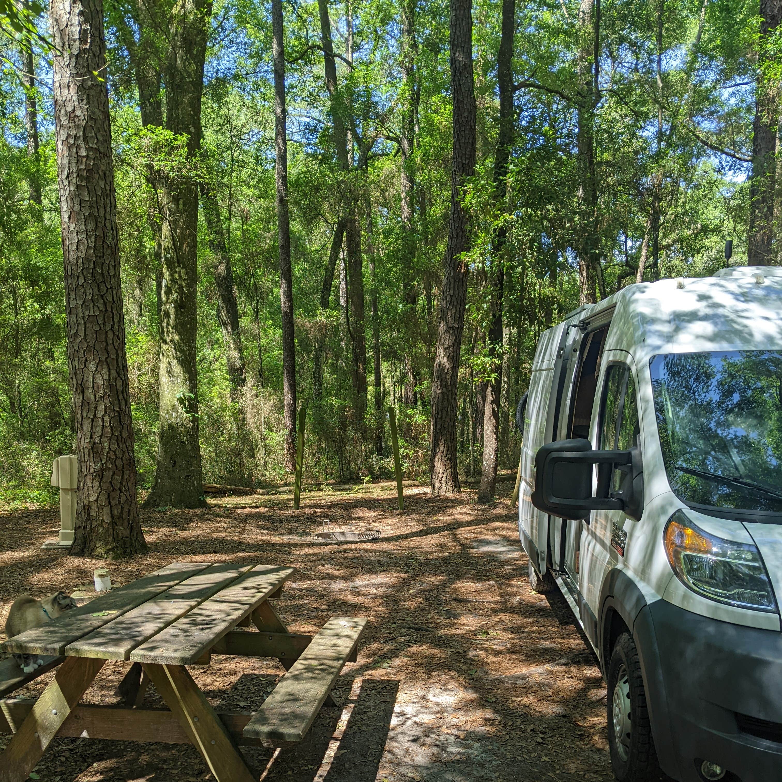 Suwannee River Rendezvous Resort and Campground | Mayo, Florida