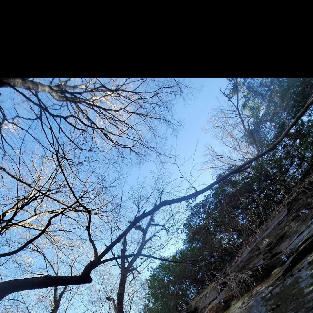 Moccasin Branch Campground — Raven Rock State Park | Mamers, NC