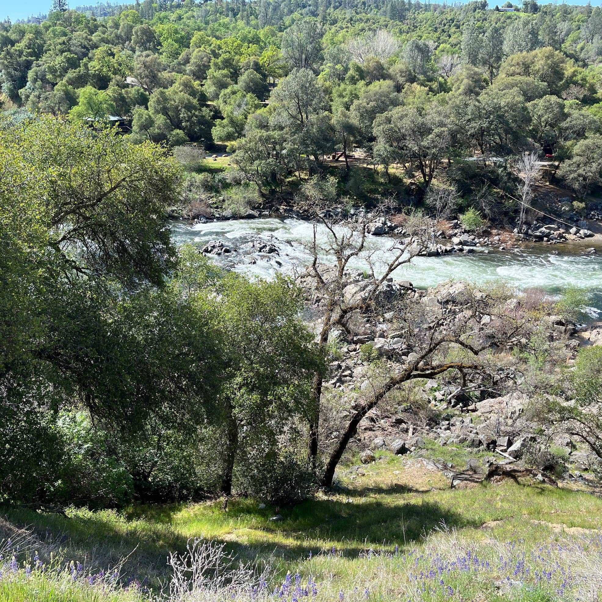 Coloma Resort Camping | The Dyrt