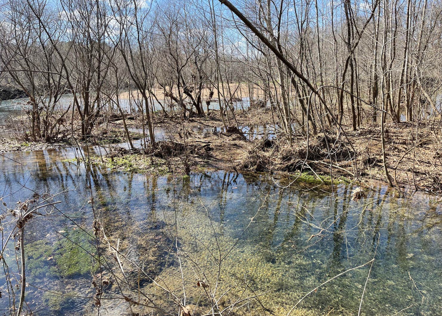 Courtois Creek Dispersed Camping | The Dyrt