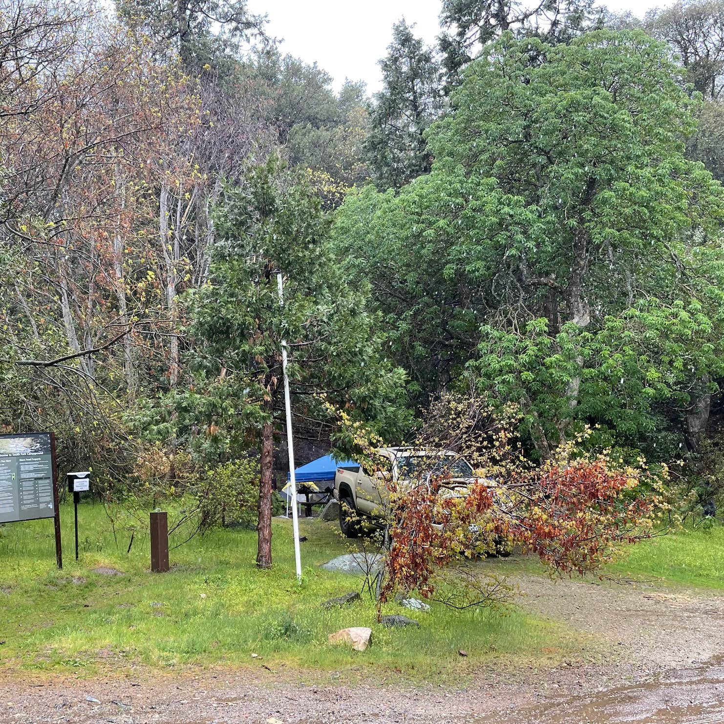 South Fork Campground Mendocino National Forest — Mendocino National ...