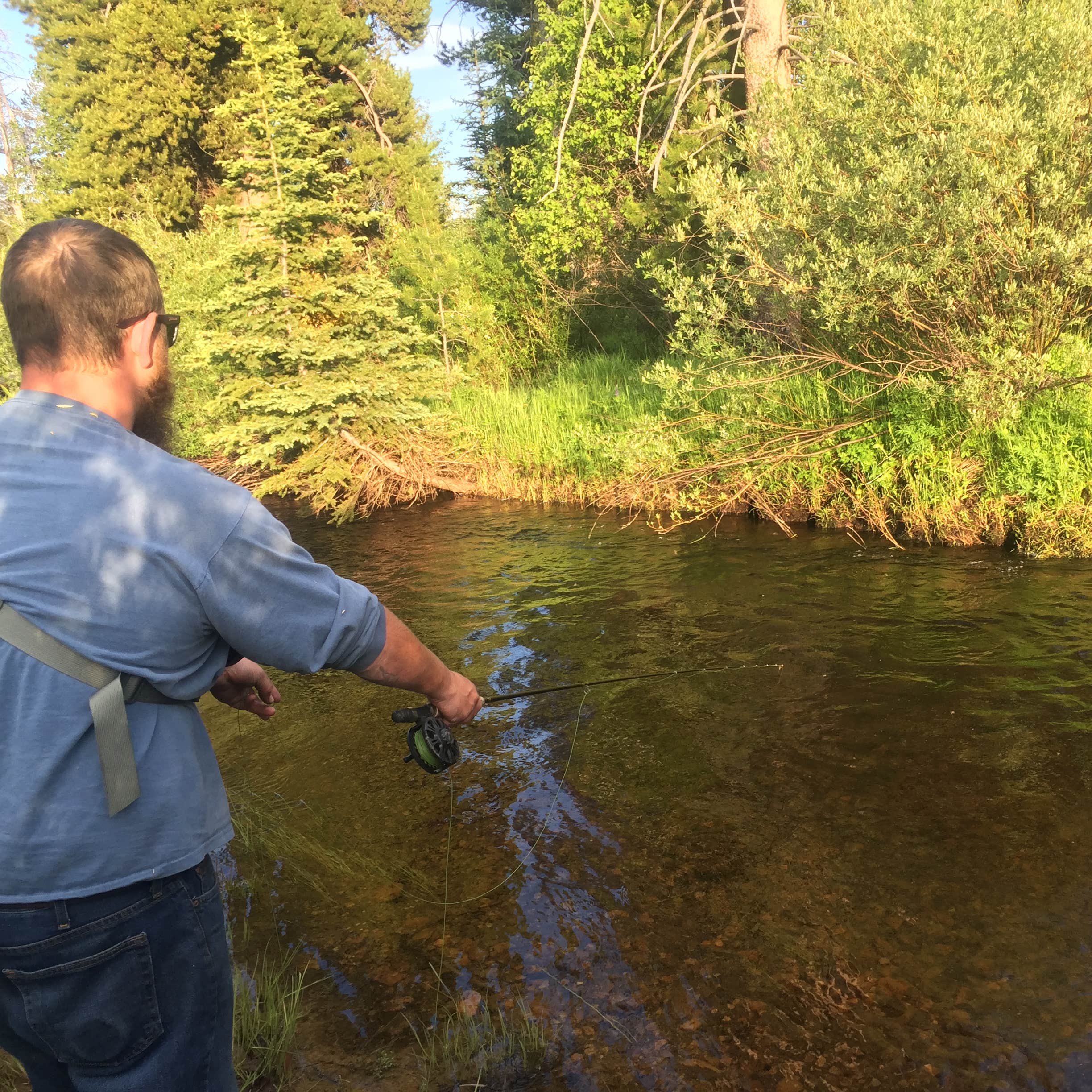 Mussigbrod Camping | Sula, MT