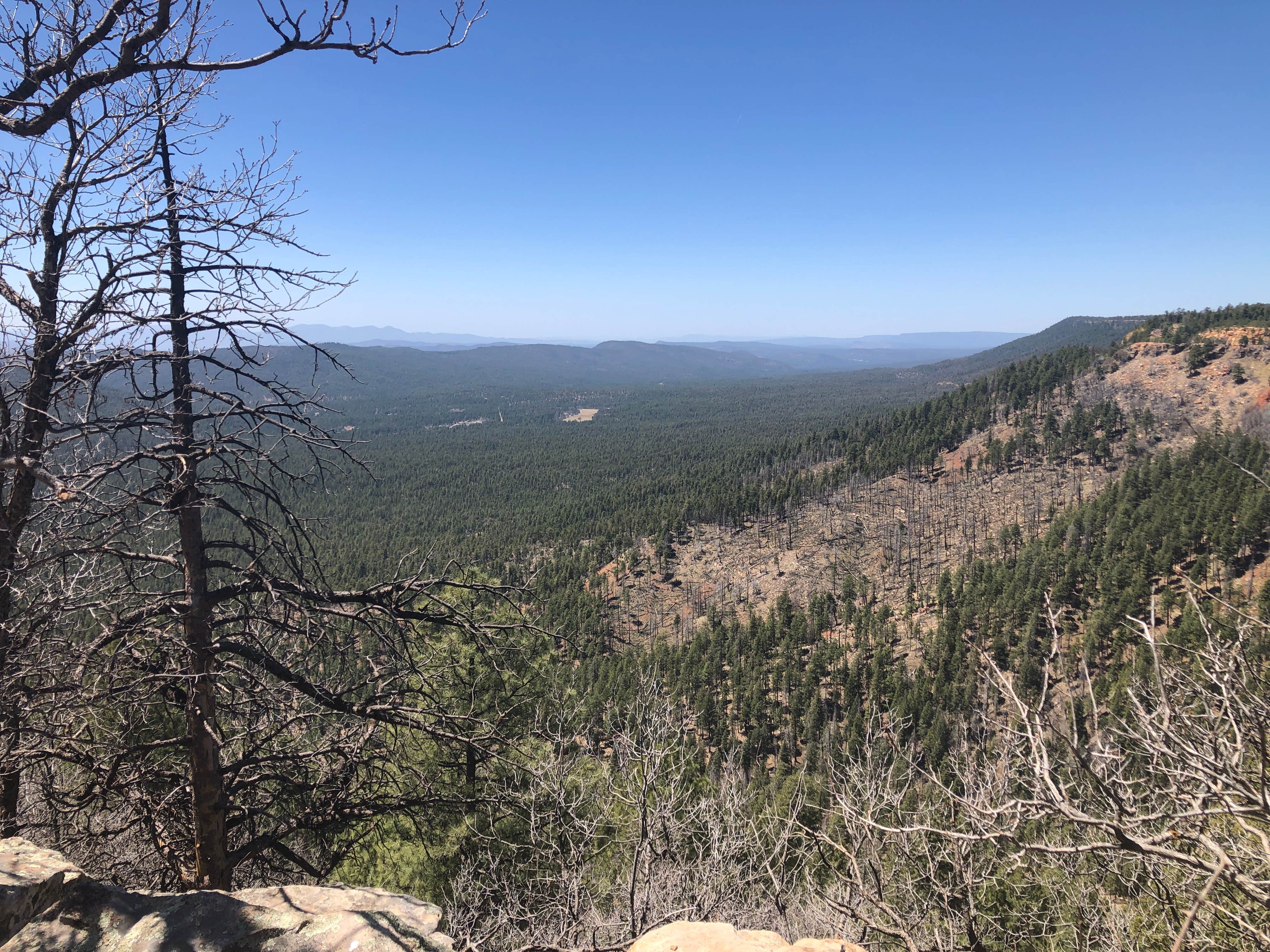 Old Rim Road Dispersed Site Camping | Forest Lakes, AZ