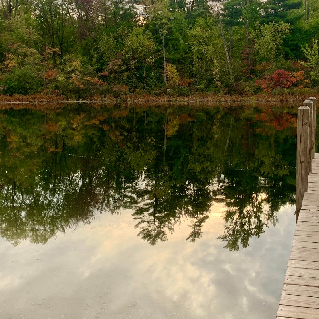 Gun Lake Campground — Yankee Springs Recreation Area | Middleville ...