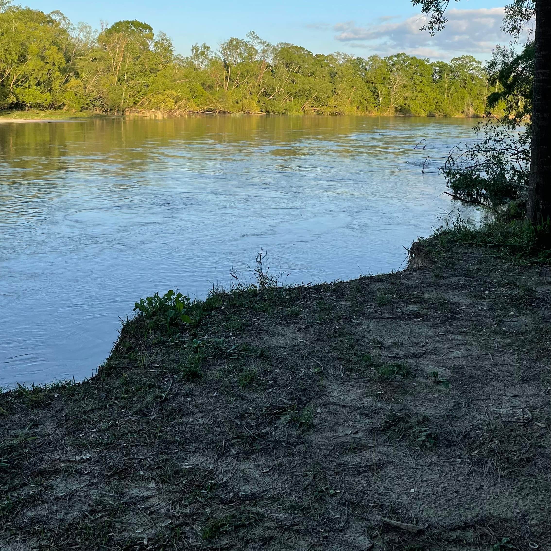 Bogue Chitto State Park Camping | The Dyrt