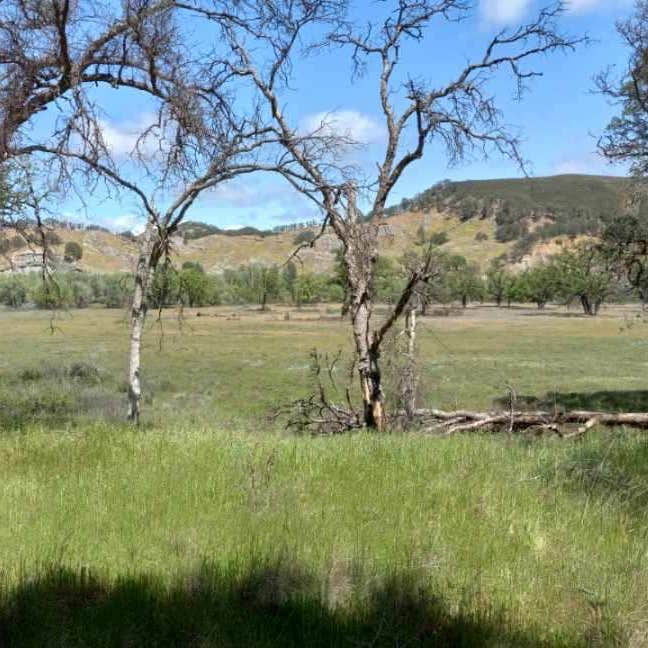 Cache Creek Regional Park Campground | Rumsey, California