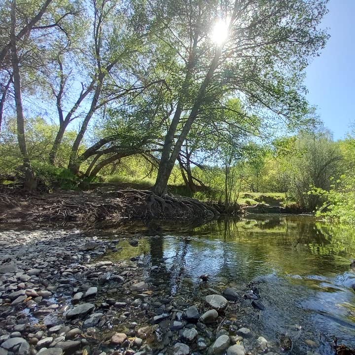 Cache Creek Regional Park Campground | Rumsey, California