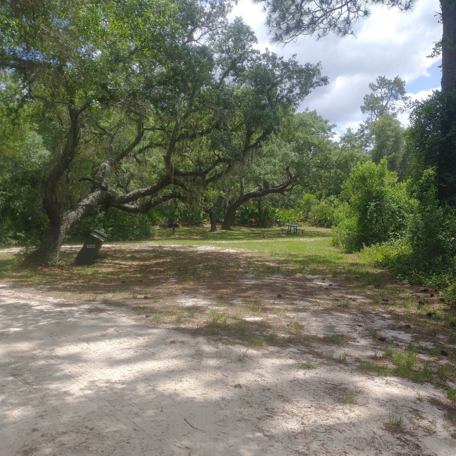 Buck Lake Group Campground | Astor, Florida