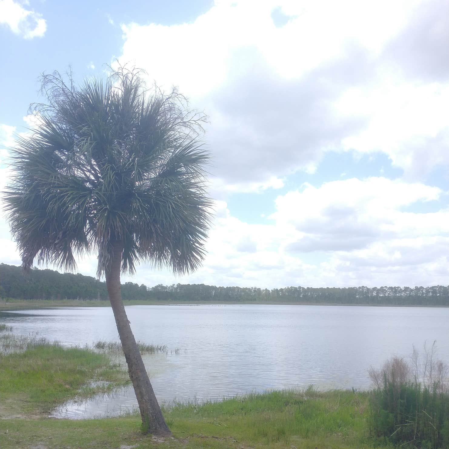 Buck Lake Group Campground | Altoona, FL