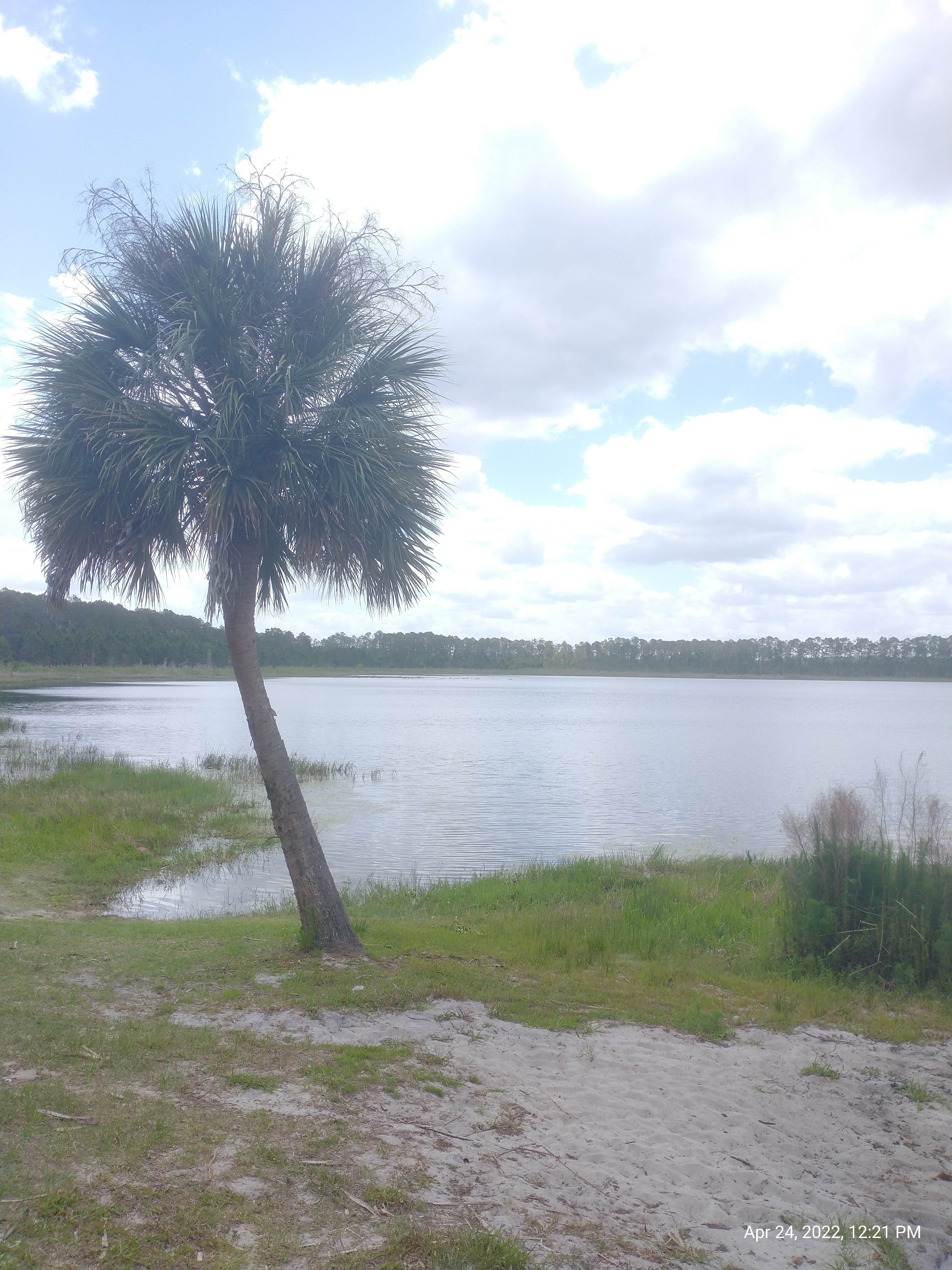 Buck Lake Group Campground | Altoona, FL