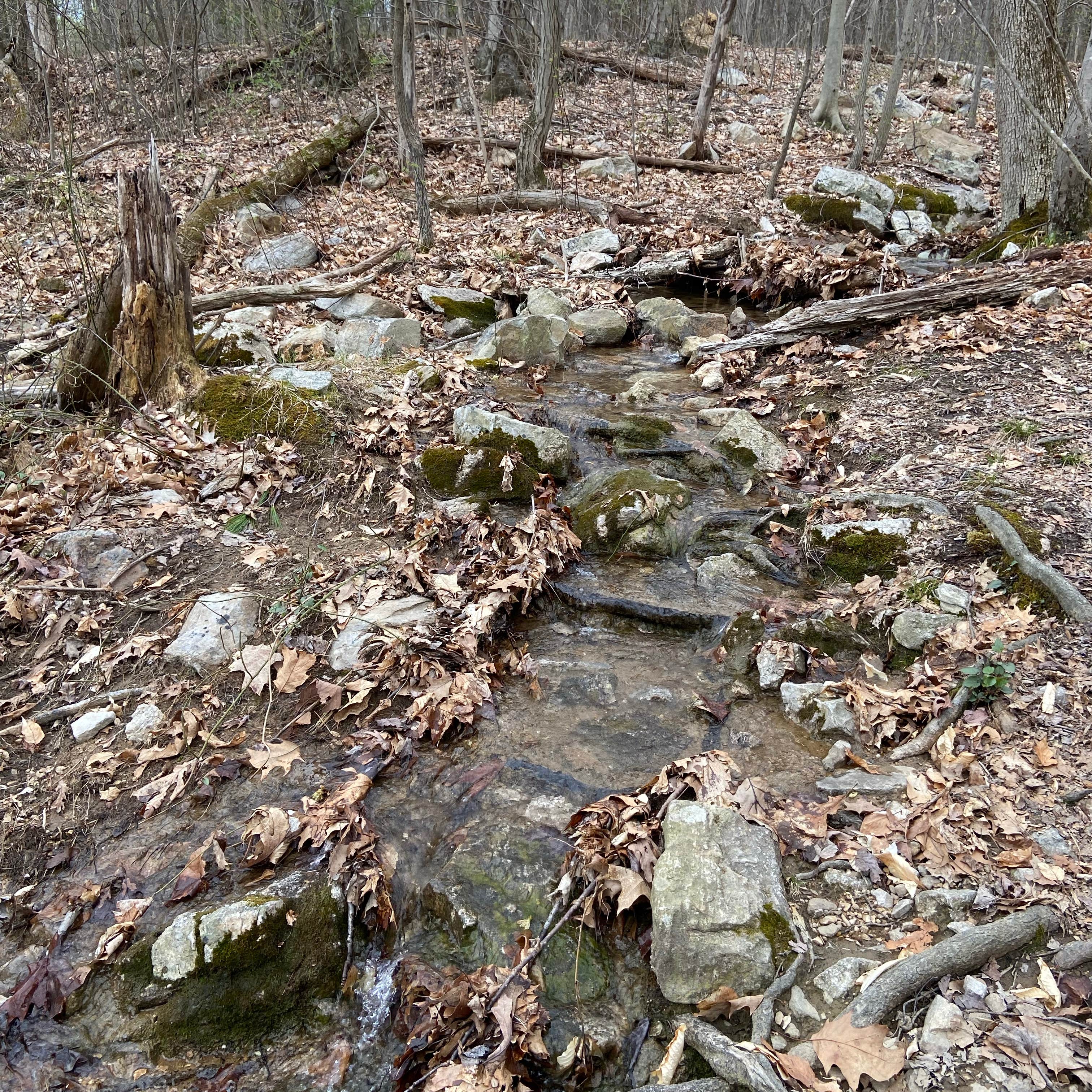 Blue Rocks Family Campground | Lenhartsville, PA