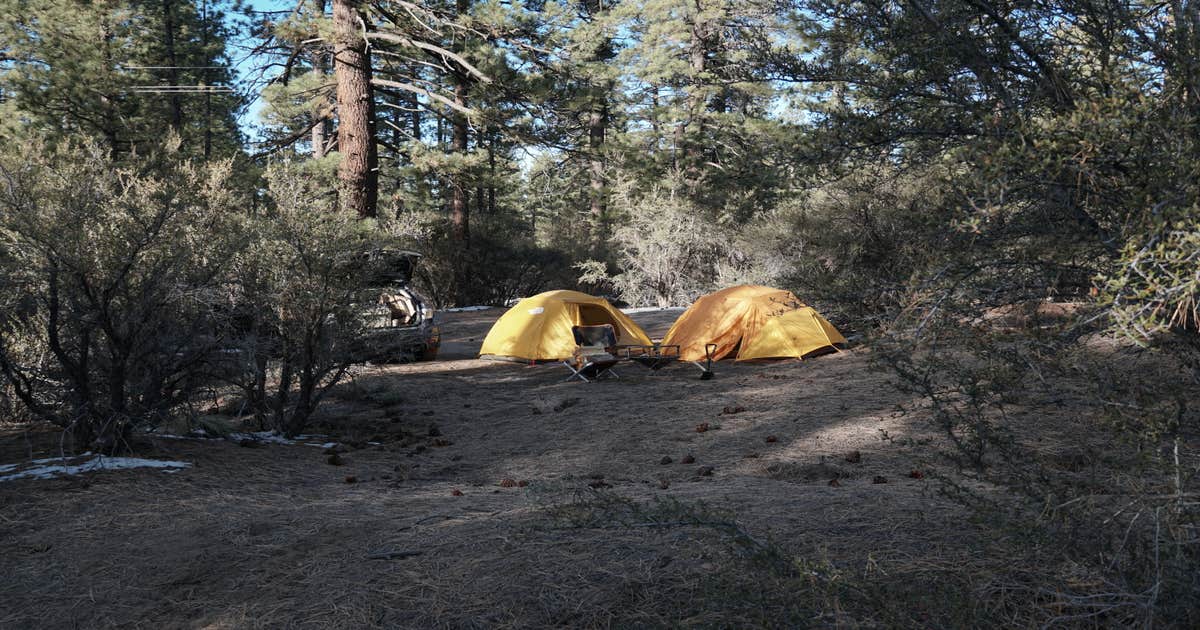 Camper-Submitted Photos of Holcomb Valley Climbers Camp