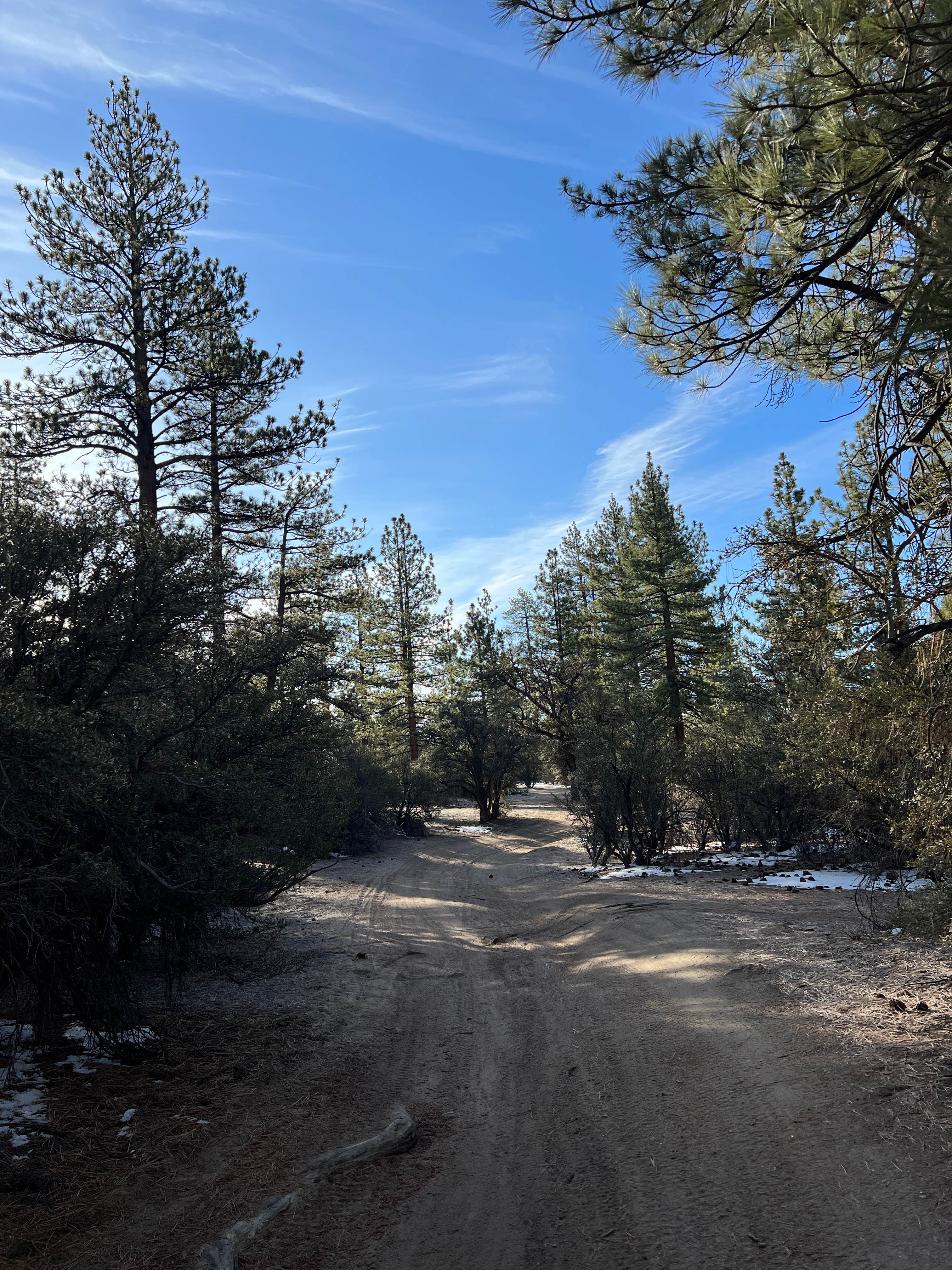 Holcomb Valley Climbers Camp | Big Bear Lake, California