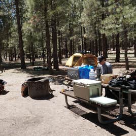 Holcomb Valley Campground Camping | The Dyrt