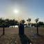 Rancho Seco Recreation Area Camping | The Dyrt