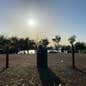 Rancho Seco Recreation Area Camping | The Dyrt