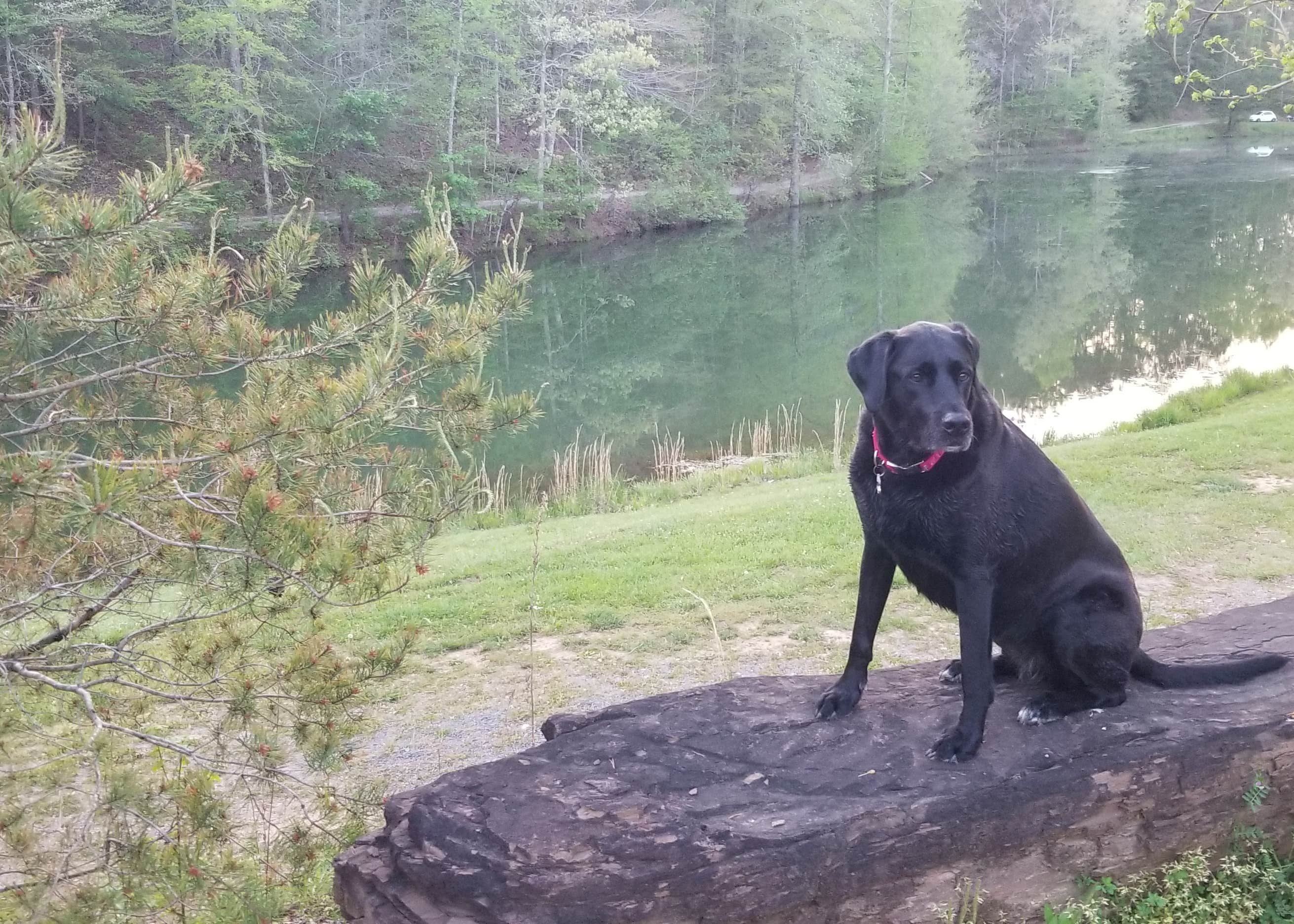 Hidden Lake Campground and Resort Camping | The Dyrt