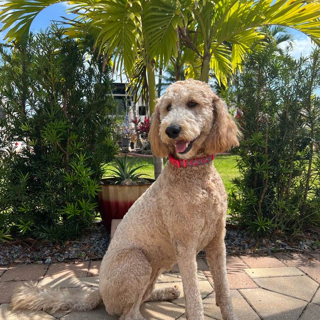 Gulf Waters RV Resort | Fort Myers Beach, Florida