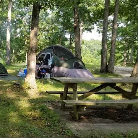 Waverly Lake City Park Camping | The Dyrt