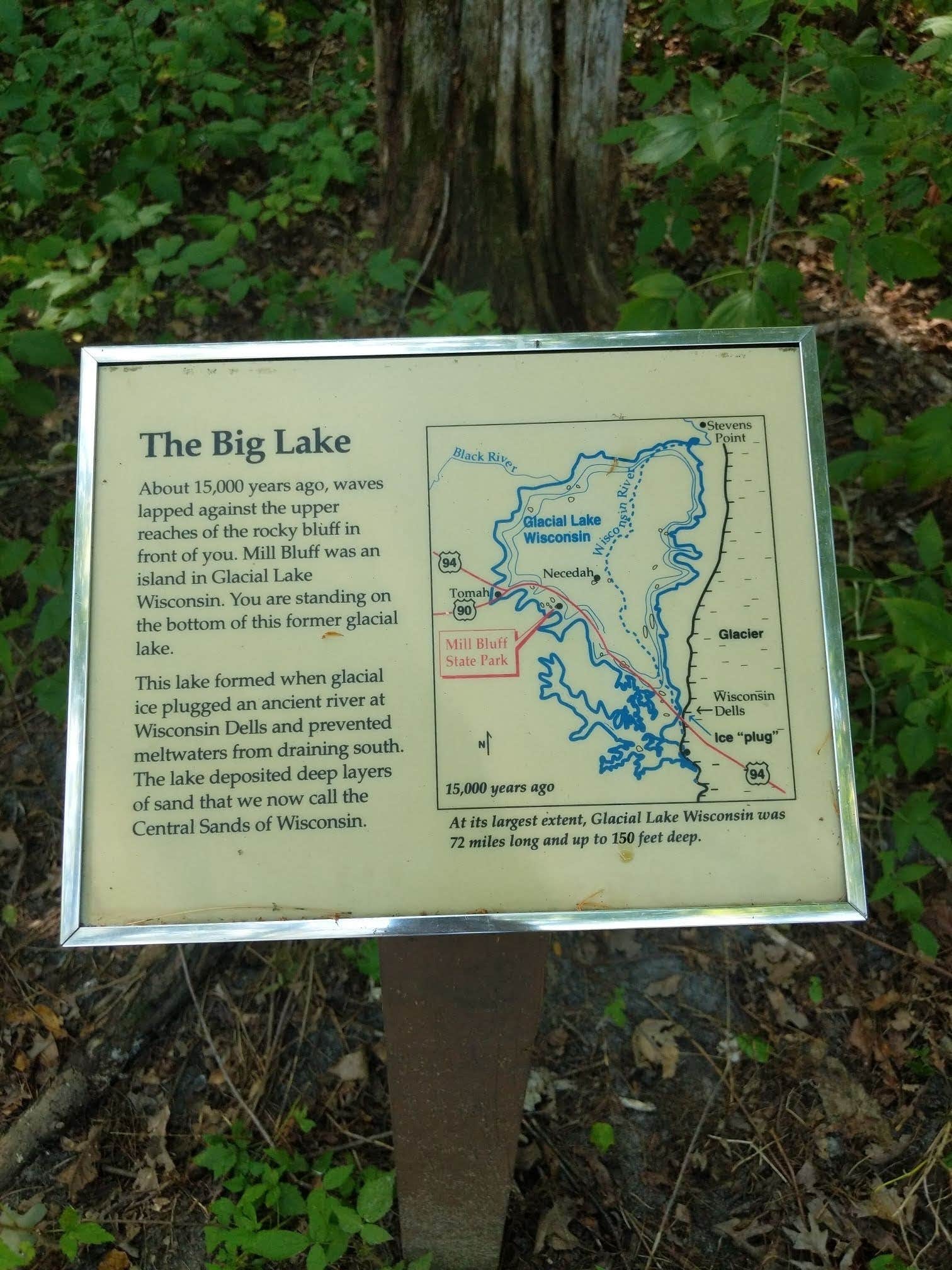 Mill Bluff State Park Campground | Camp Douglas, WI