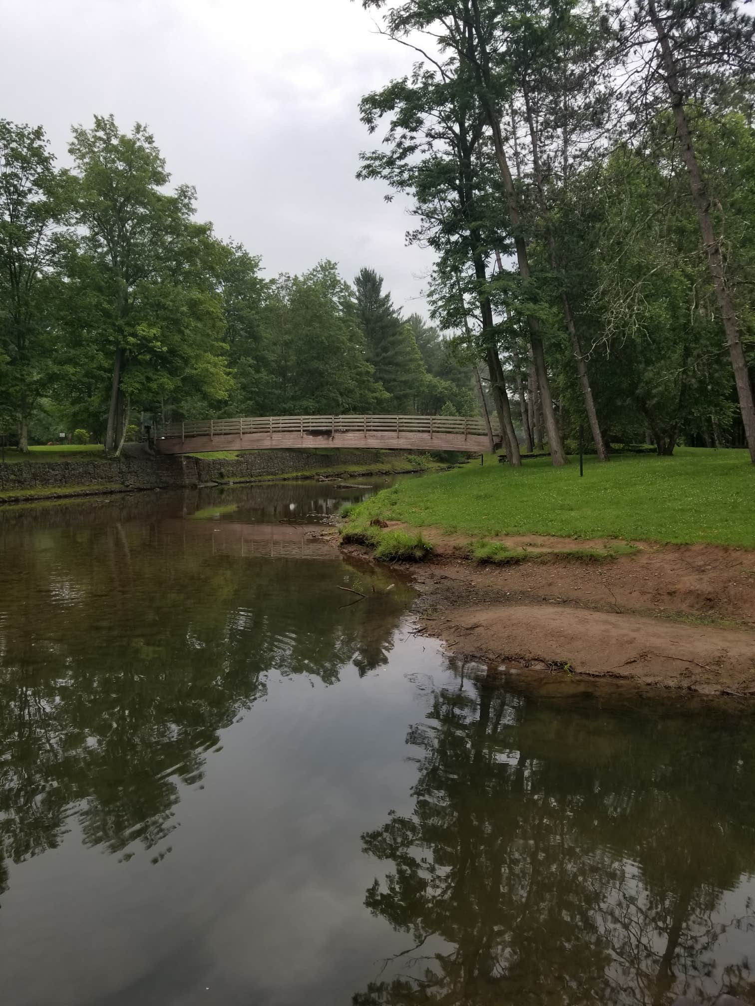 Ole Bull State Park Campground | Cross Fork, PA
