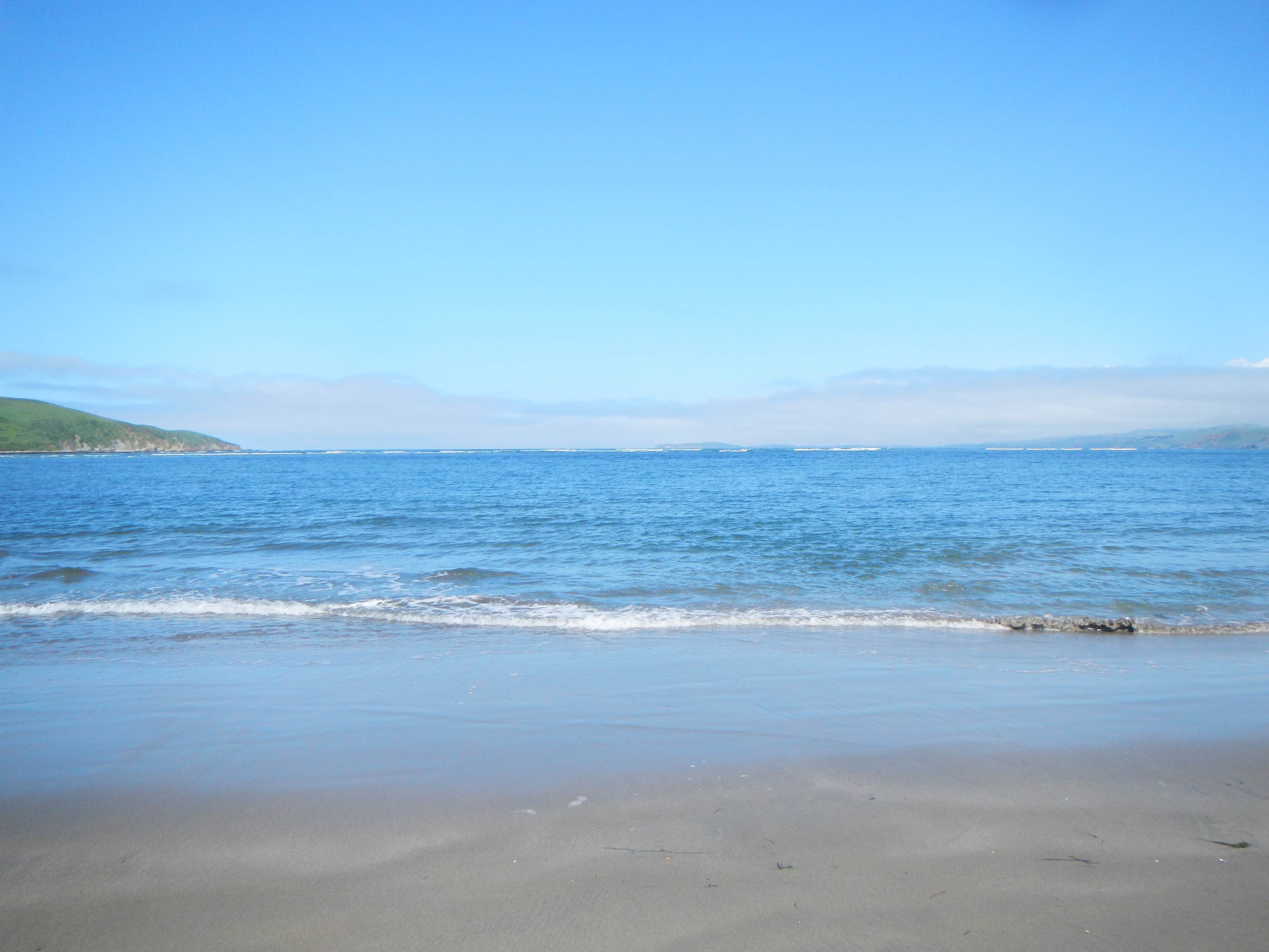 Lawson's Landing Camping | The Dyrt