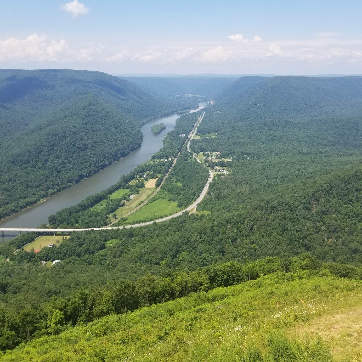 Hyner Run State Park Camping | The Dyrt