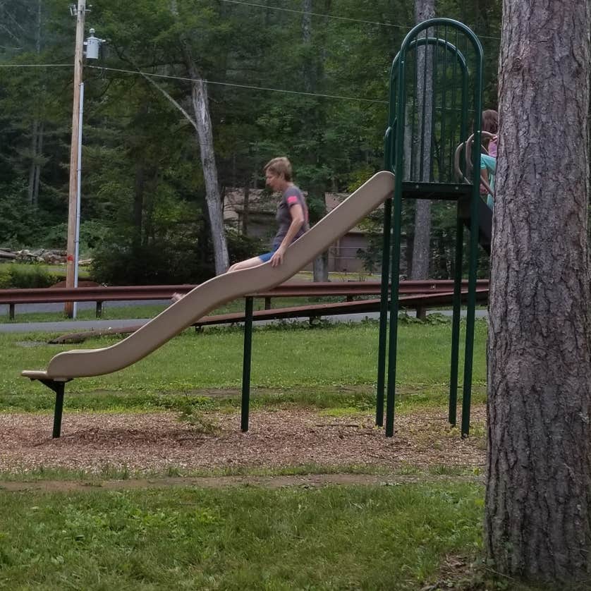 Hyner Run State Park Camping | The Dyrt