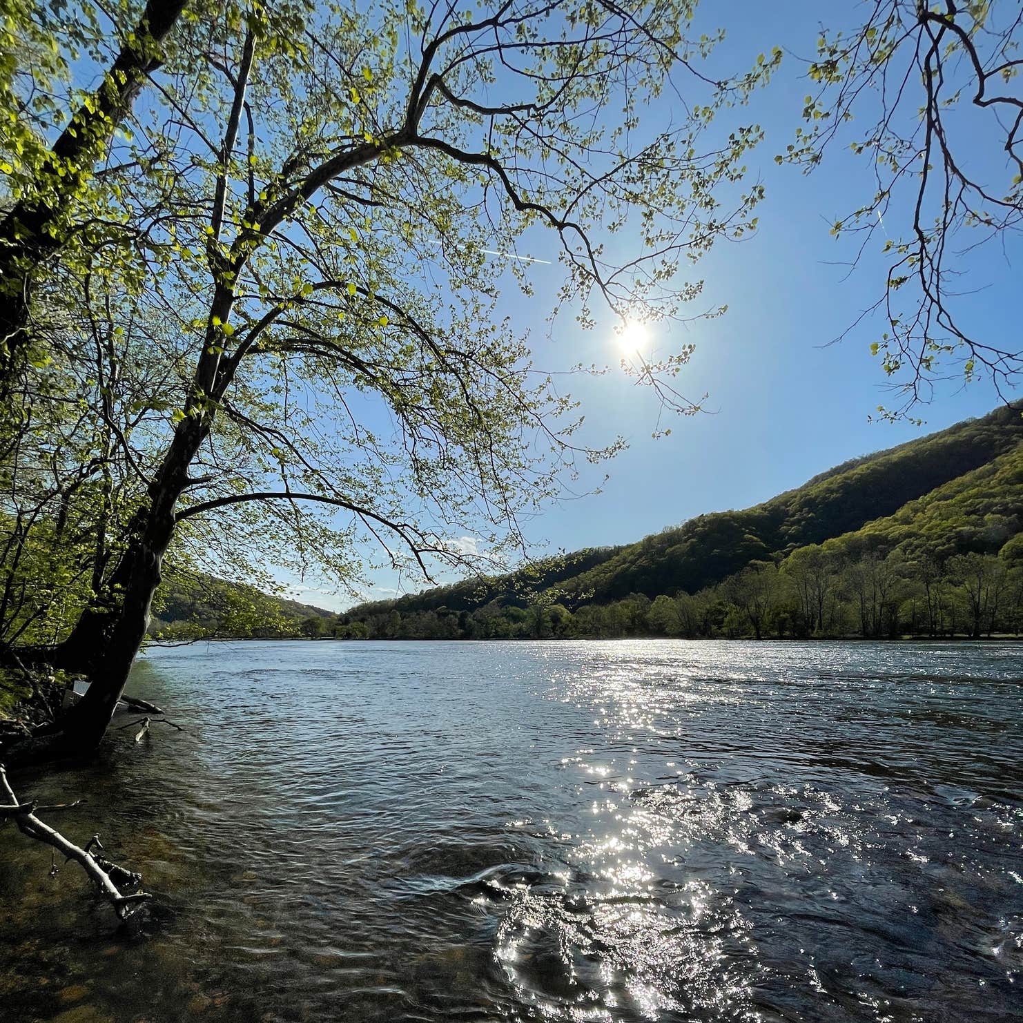 New River Junction Campground | Staffordsville, Virginia
