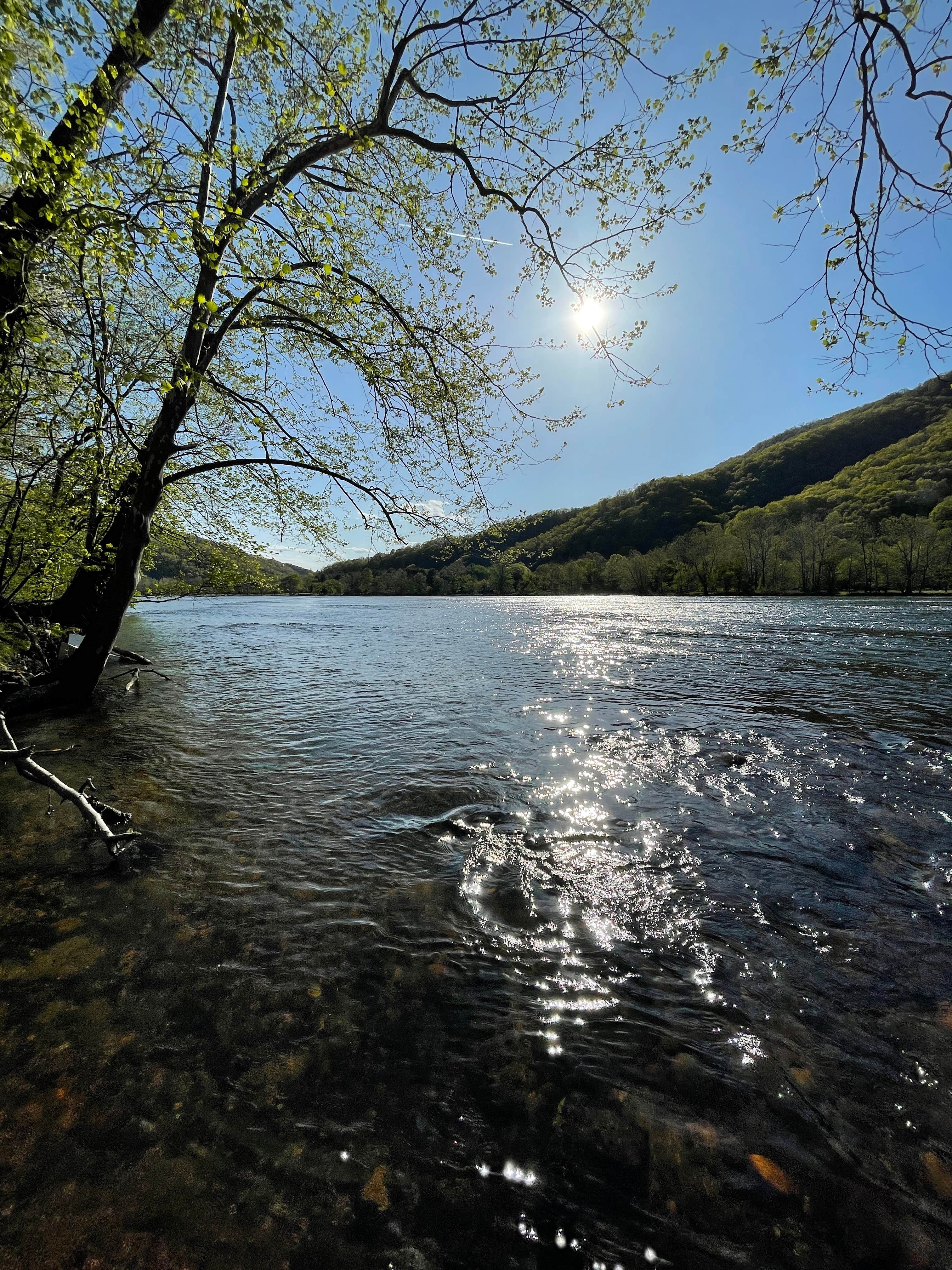 New River Junction Campground | Staffordsville, Virginia