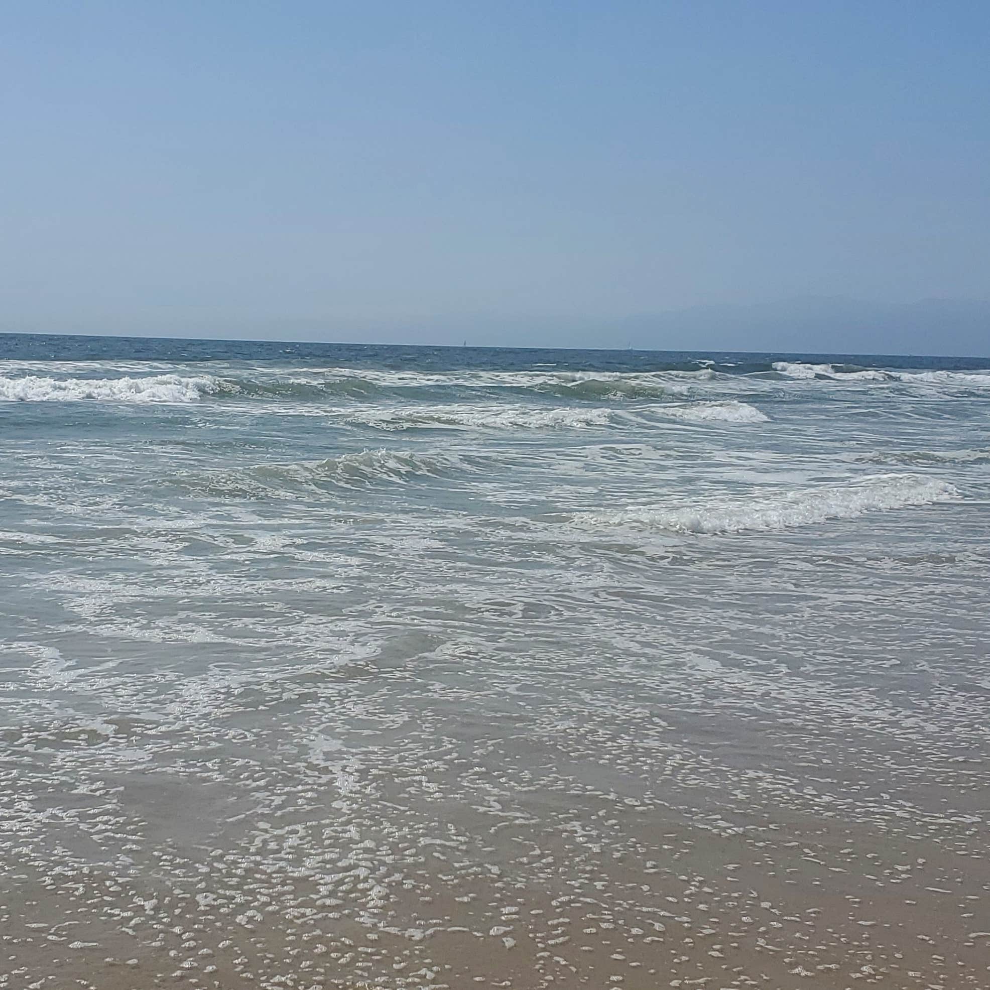 Dockweiler Beach RV Park Camping | The Dyrt