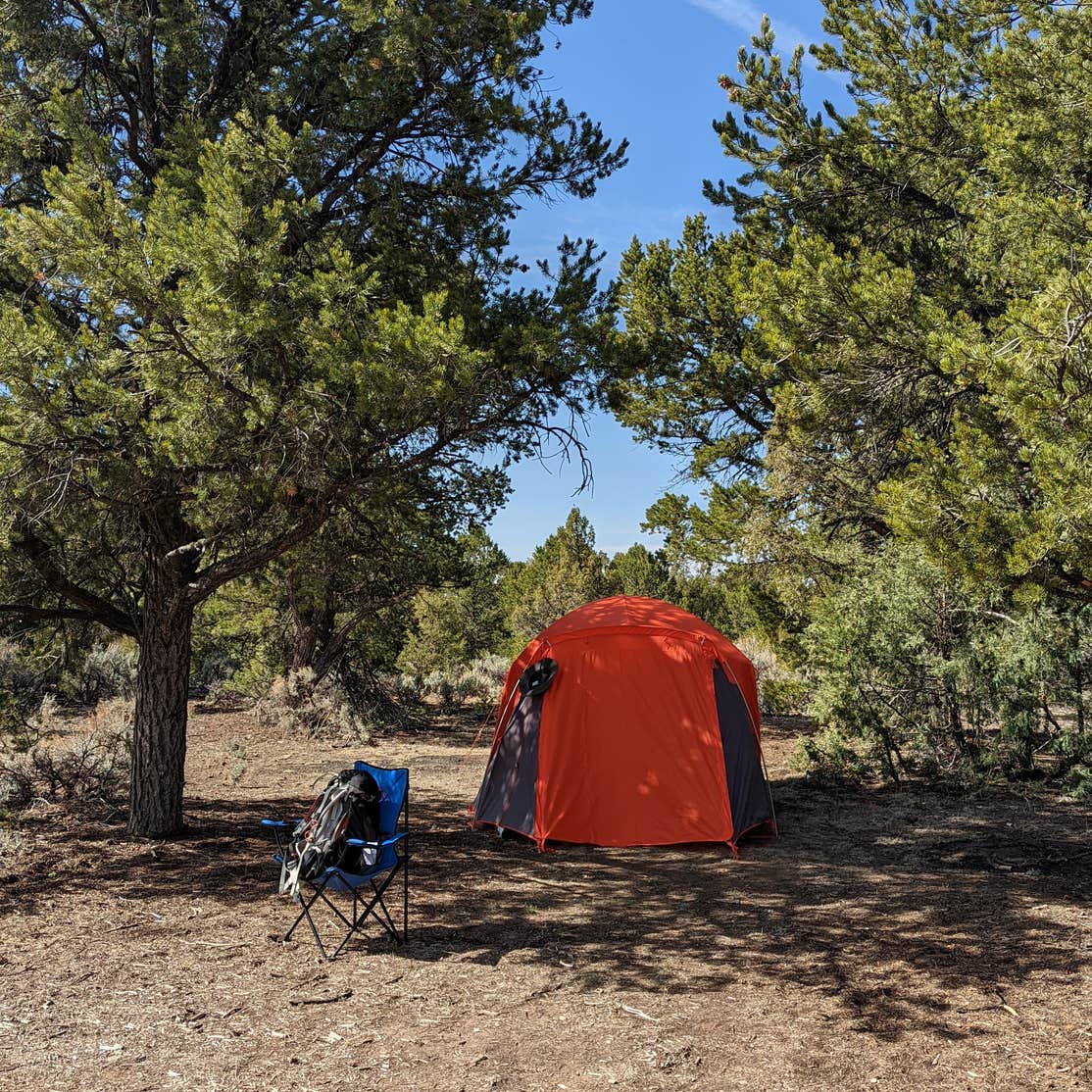 Carson NF - Forest Service Road 578 - Dispersed Camping Camping | The Dyrt