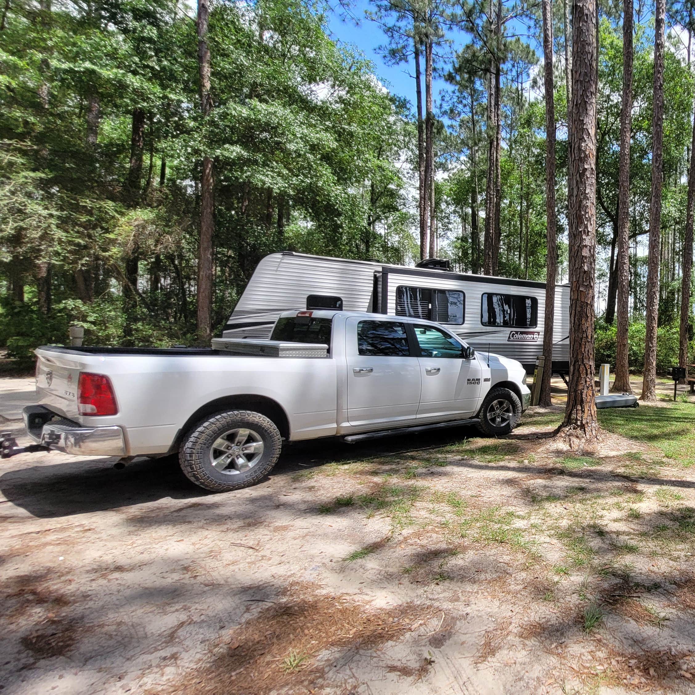 Sand Pond Campground - Pine Log State Forest Camping | The Dyrt