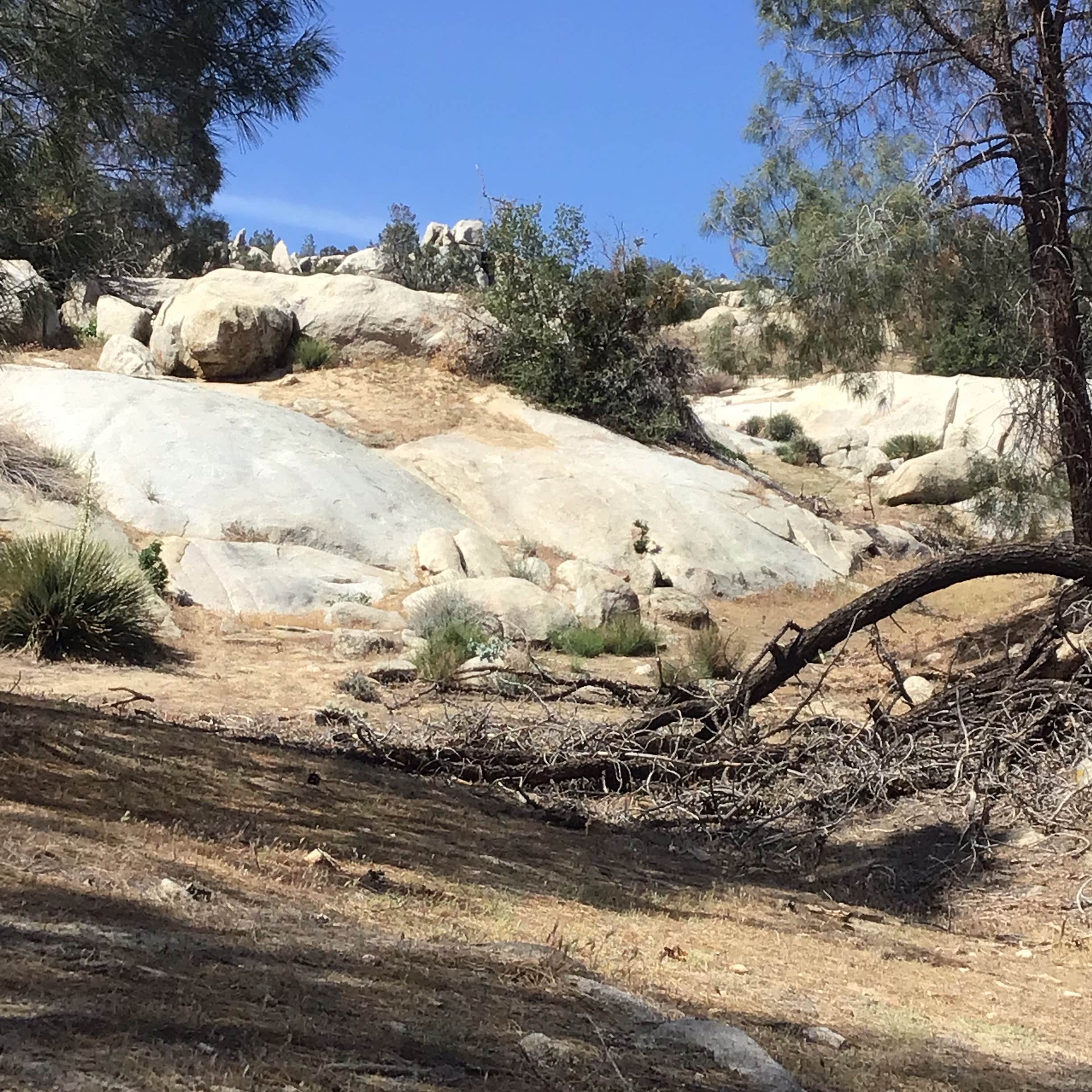 Keyesville Recreation Area Dispersed Camping | The Dyrt