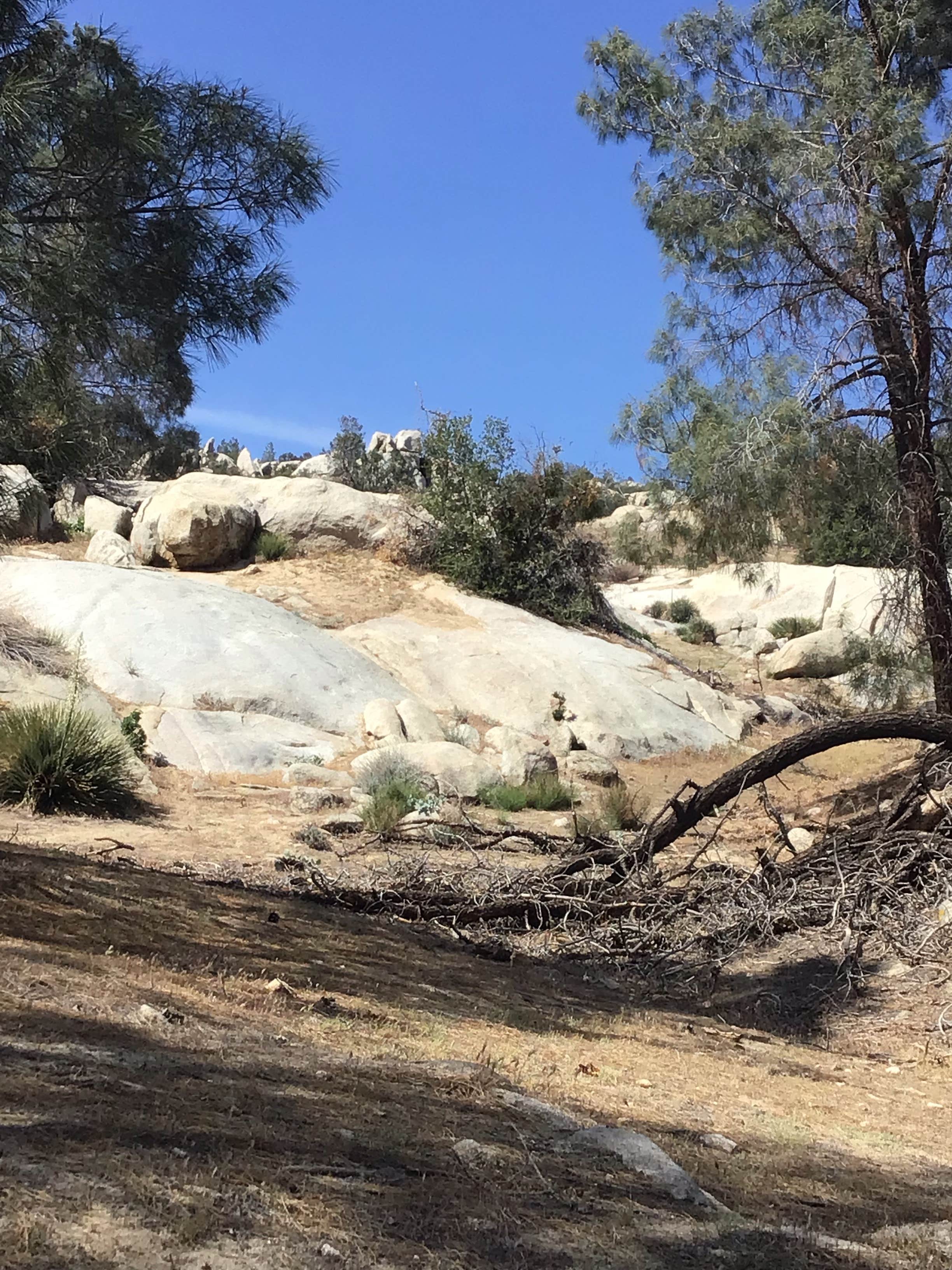 Keyesville Recreation Area Dispersed Camping | Lake Isabella, CA