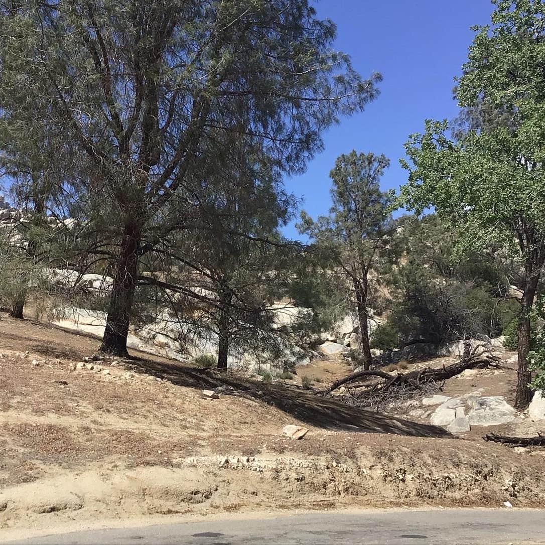 Keyesville Recreation Area Dispersed Camping | The Dyrt