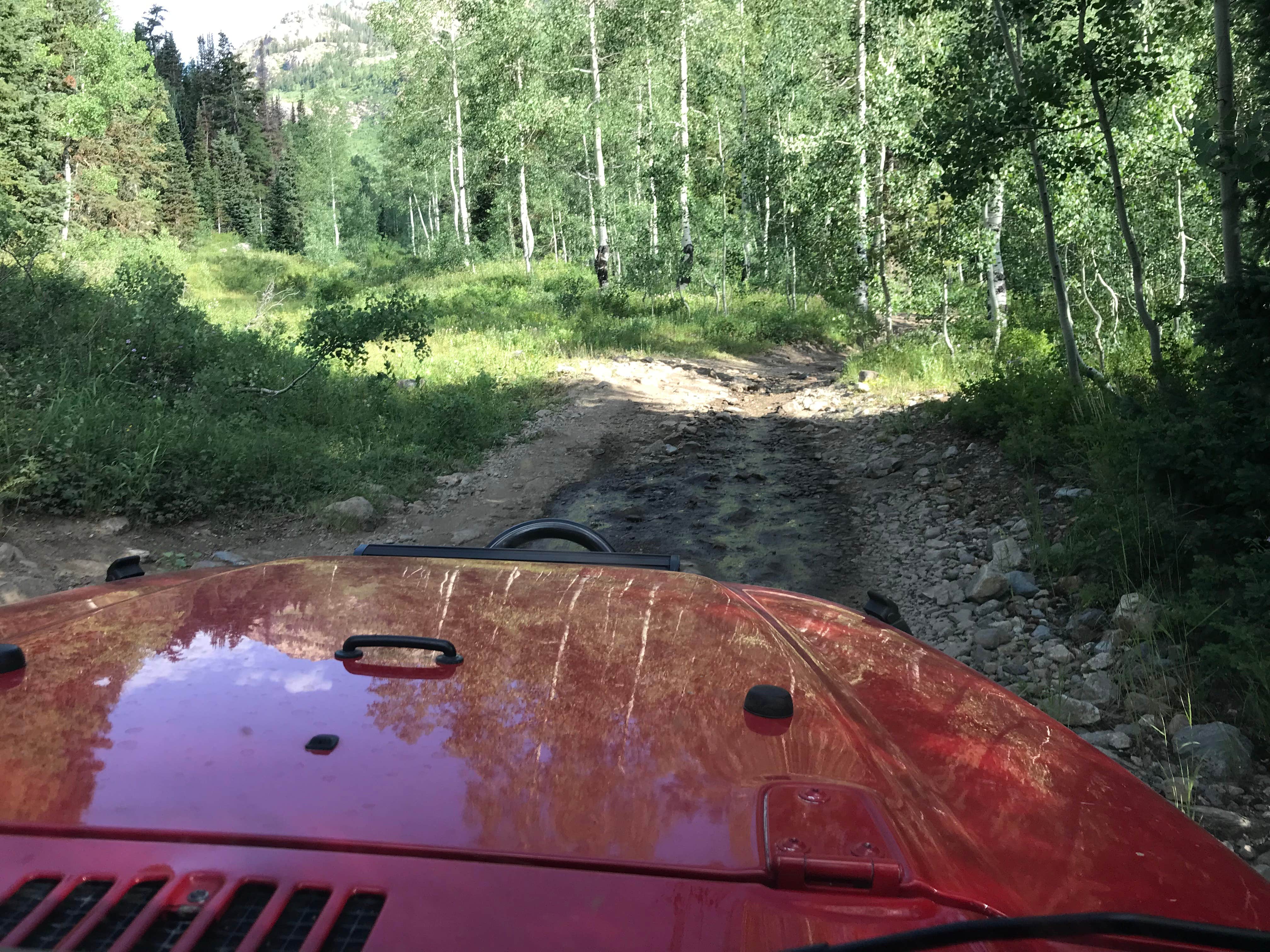Pittsburg Lake Dispersed Camping | Alta, UT