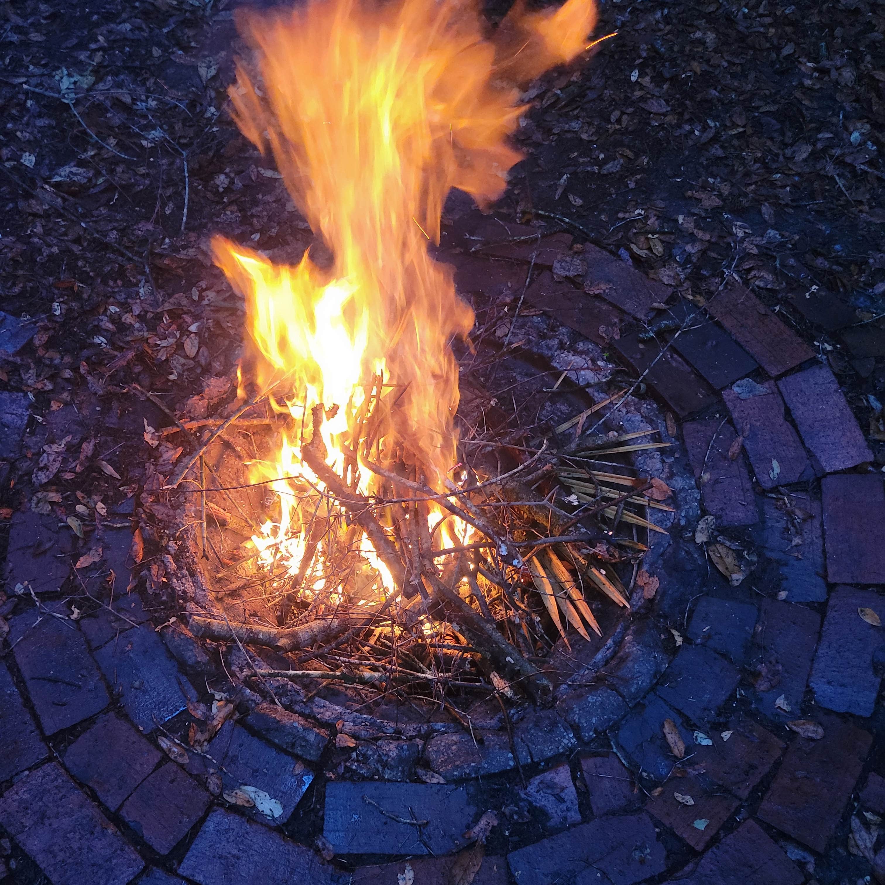 Withlacoochee River Park Camping | Dade City, Florida