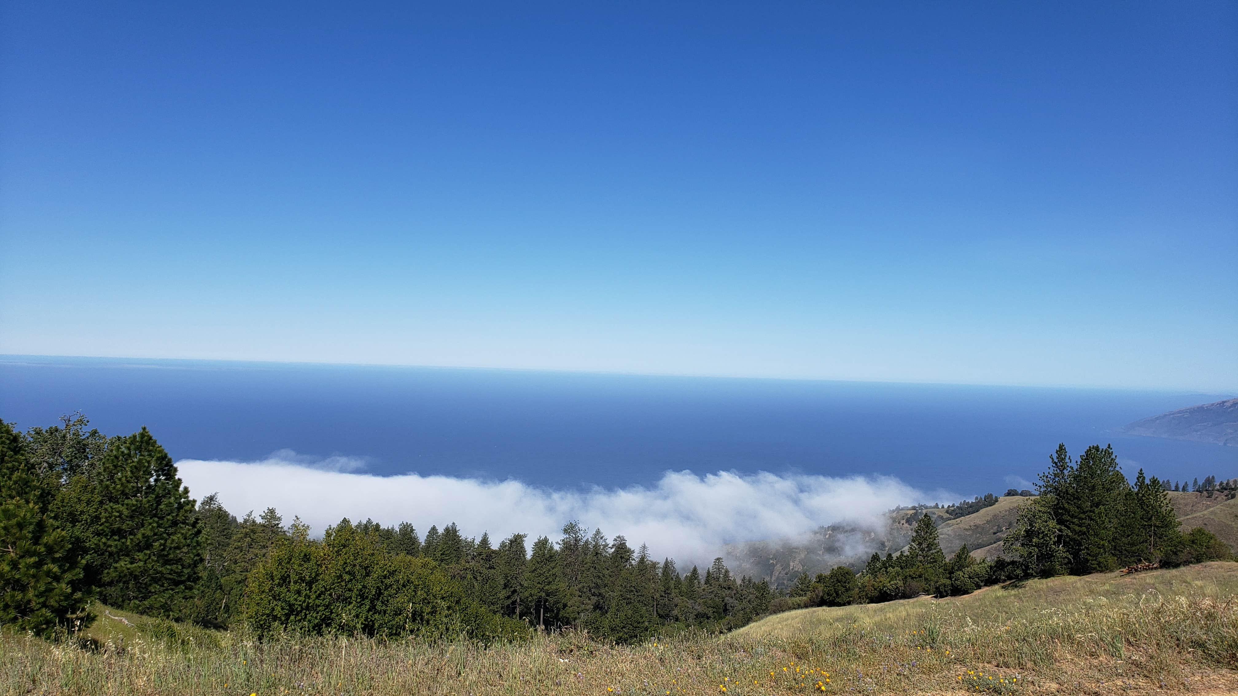 Plasket Ridge Dispersed Campground | Lucia, CA
