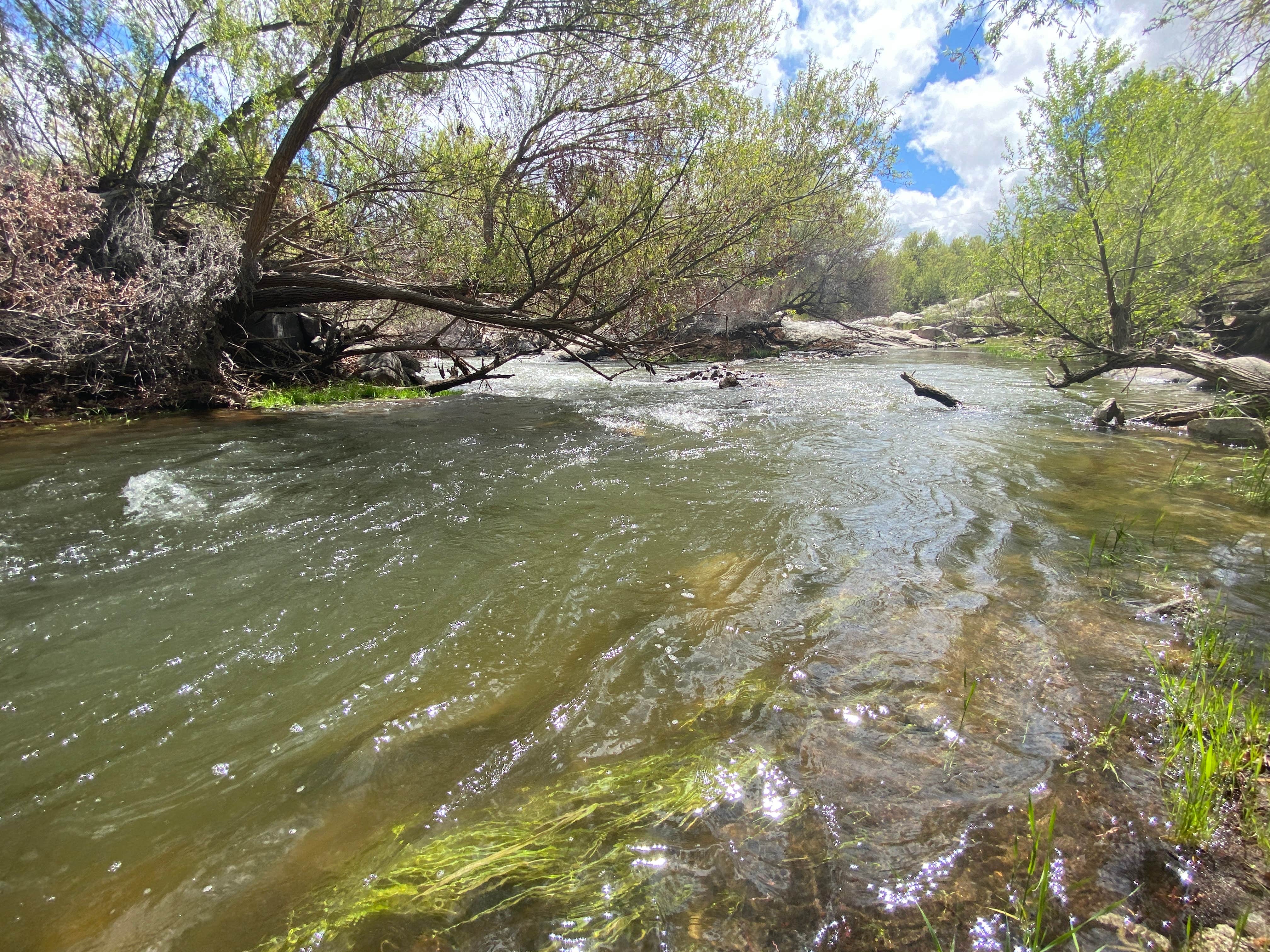 Keyesville Recreation Area Dispersed Camping | Lake Isabella, CA
