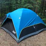 Bagley Rapids NF Campground | Mountain, Wisconsin