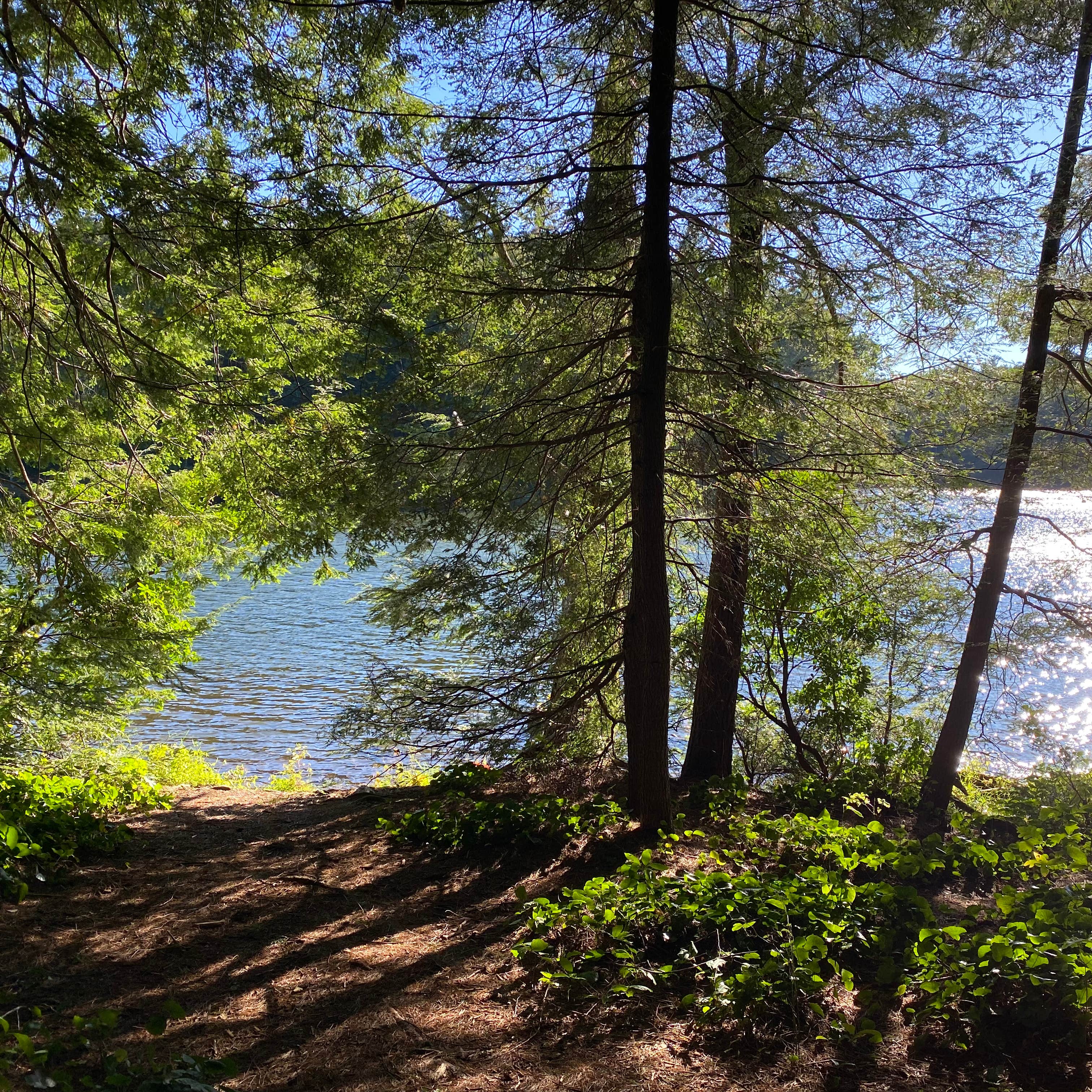 Lake Conasauga Camping | Crandall, Georgia