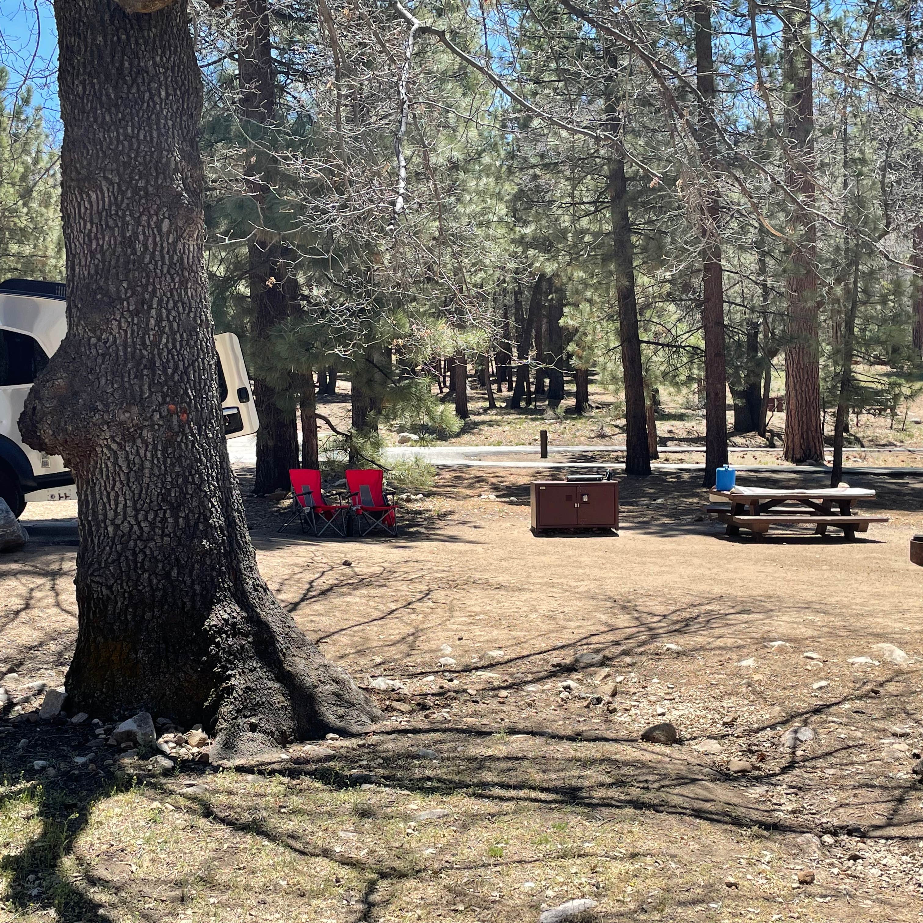 Escape To The Pines: Your Guide To Barton Flats Campground
