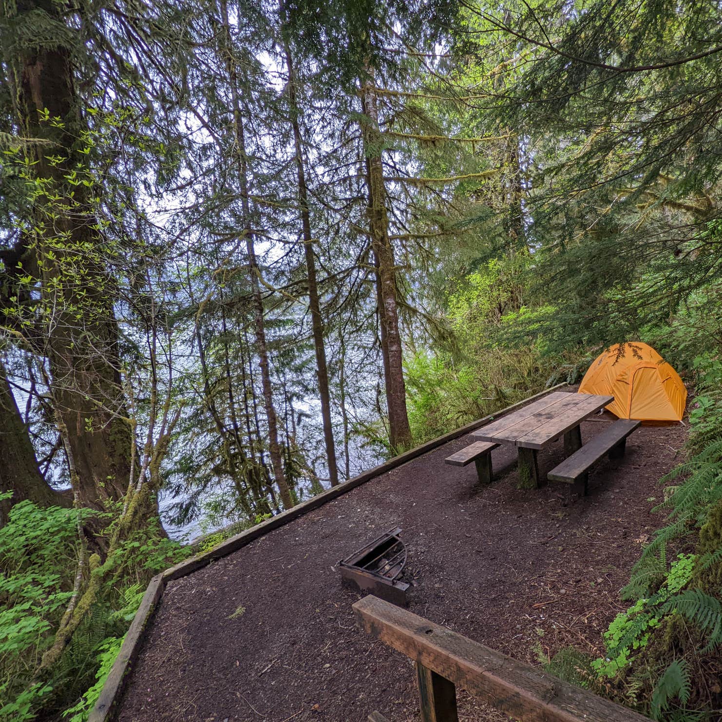 Willaby Campground | Quinault, WA