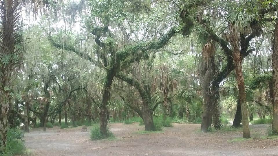Peace River Campground | Arcadia, Florida