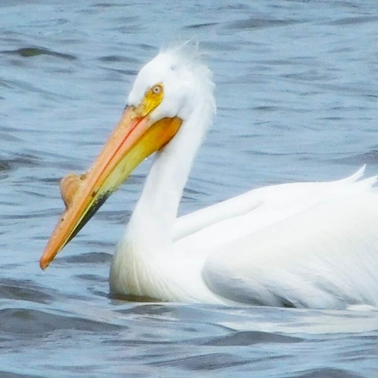 Kalbus Country Harbor Camping | Oshkosh, Wisconsin