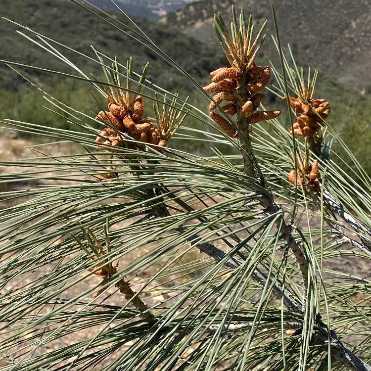 Williams Hill Recreation Area Camping | The Dyrt