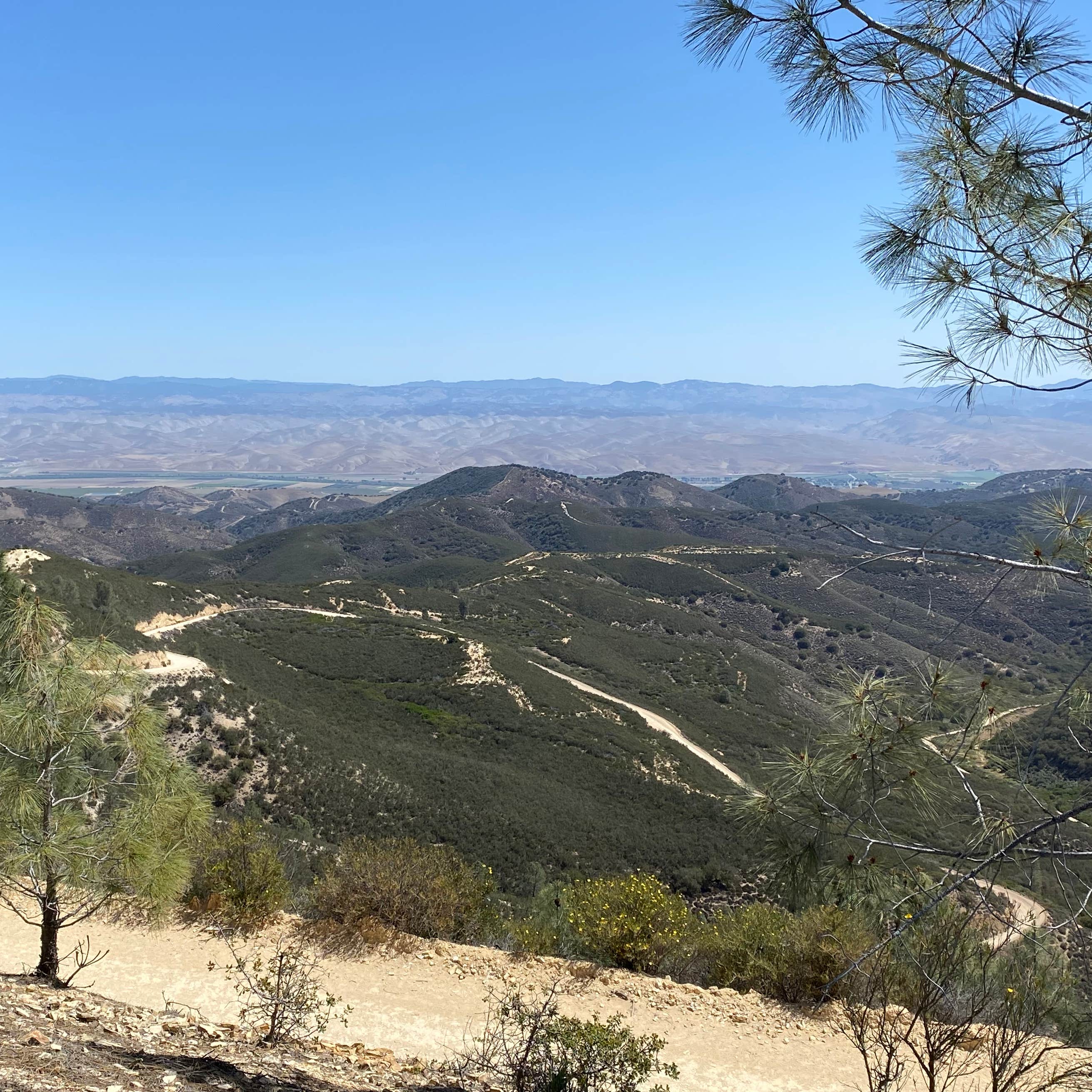 Williams Hill Recreation Area Camping | Bradley, CA
