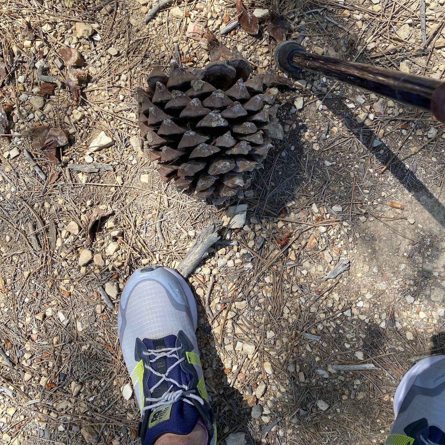 Williams Hill Recreation Area Camping | Bradley, CA